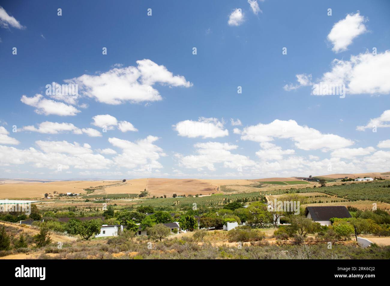 Goedgedacht Farm, Riebeek Kasteel, Western Cape, South Africa Stock ...