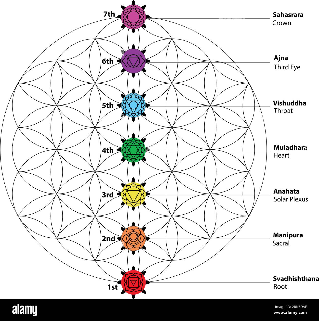 Seven chakras Set of seven chakra symbols with names. These are ...