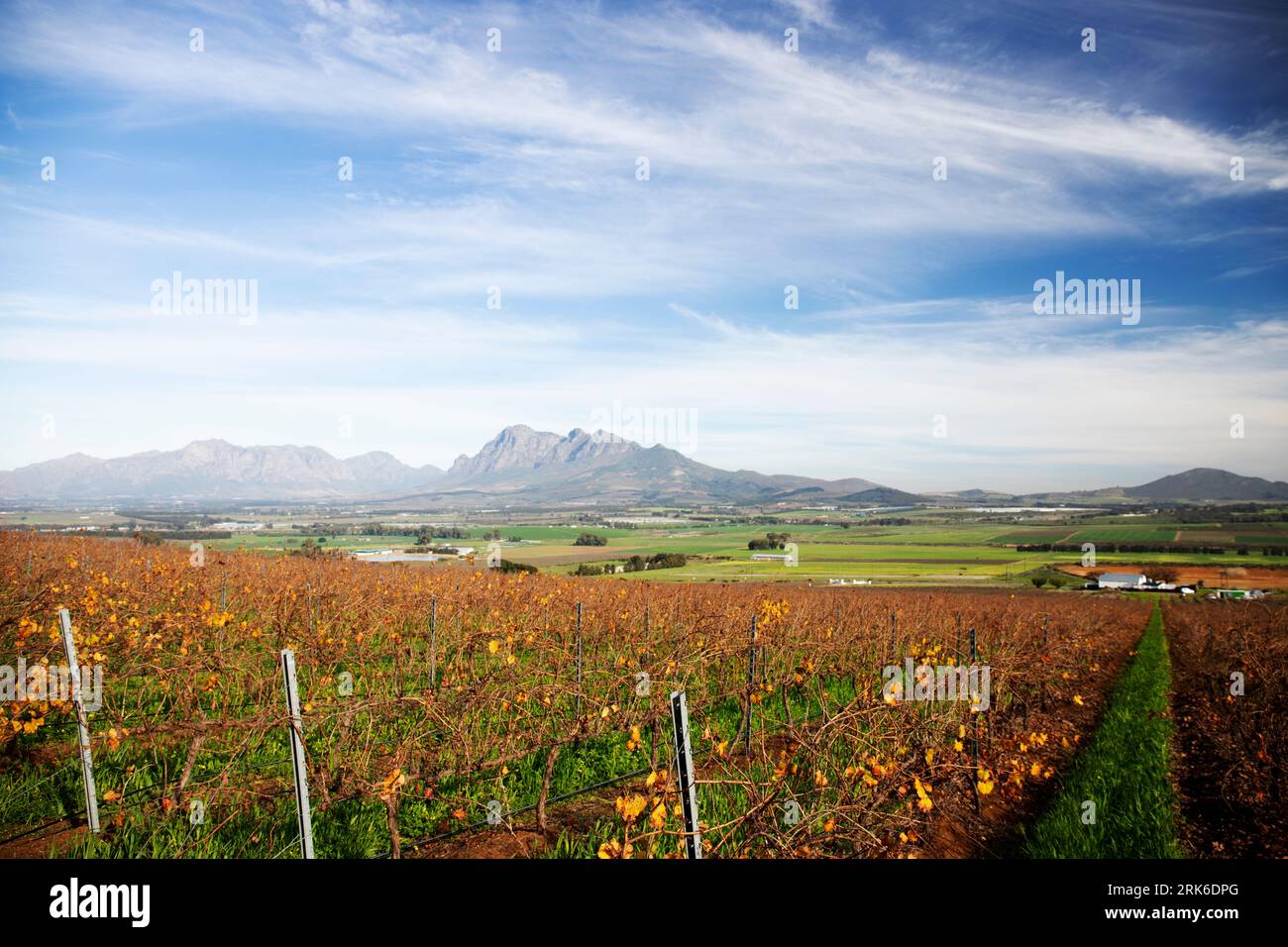 Paarl Winelands, South Africa Stock Photo - Alamy