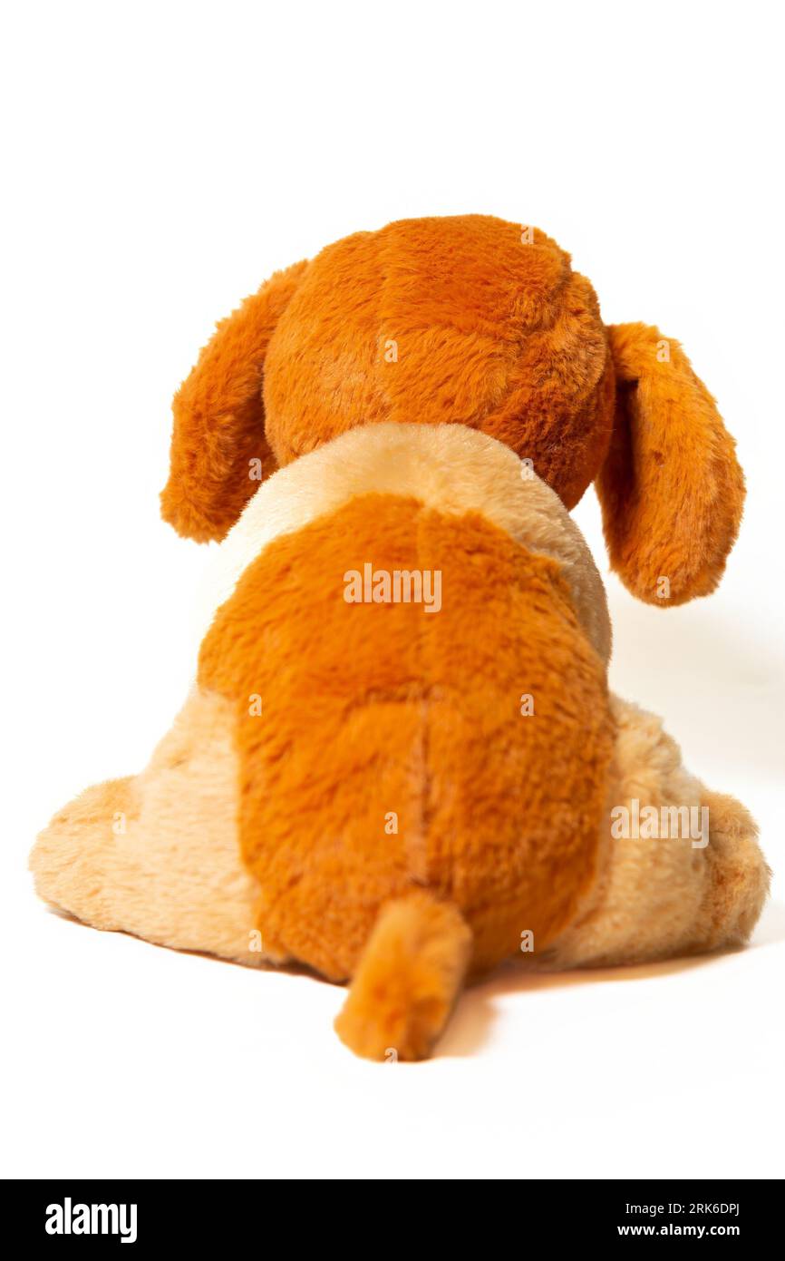 Snuggable hi-res stock photography and images - Alamy