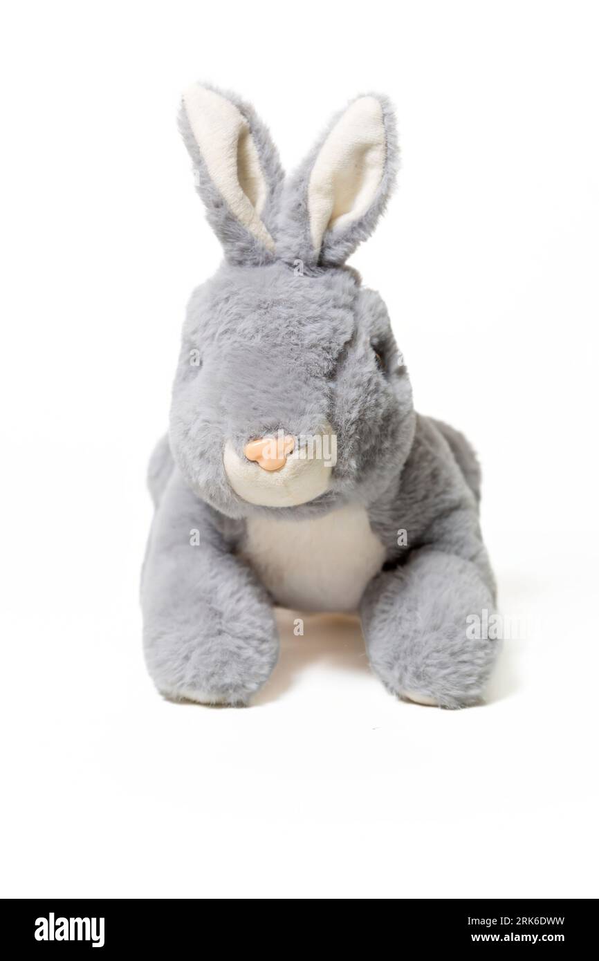 Comfy bunny hi-res stock photography and images - Alamy