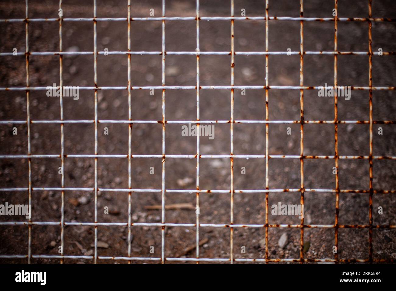 Closeup metal fence mesh grid texture Stock Photo - Alamy