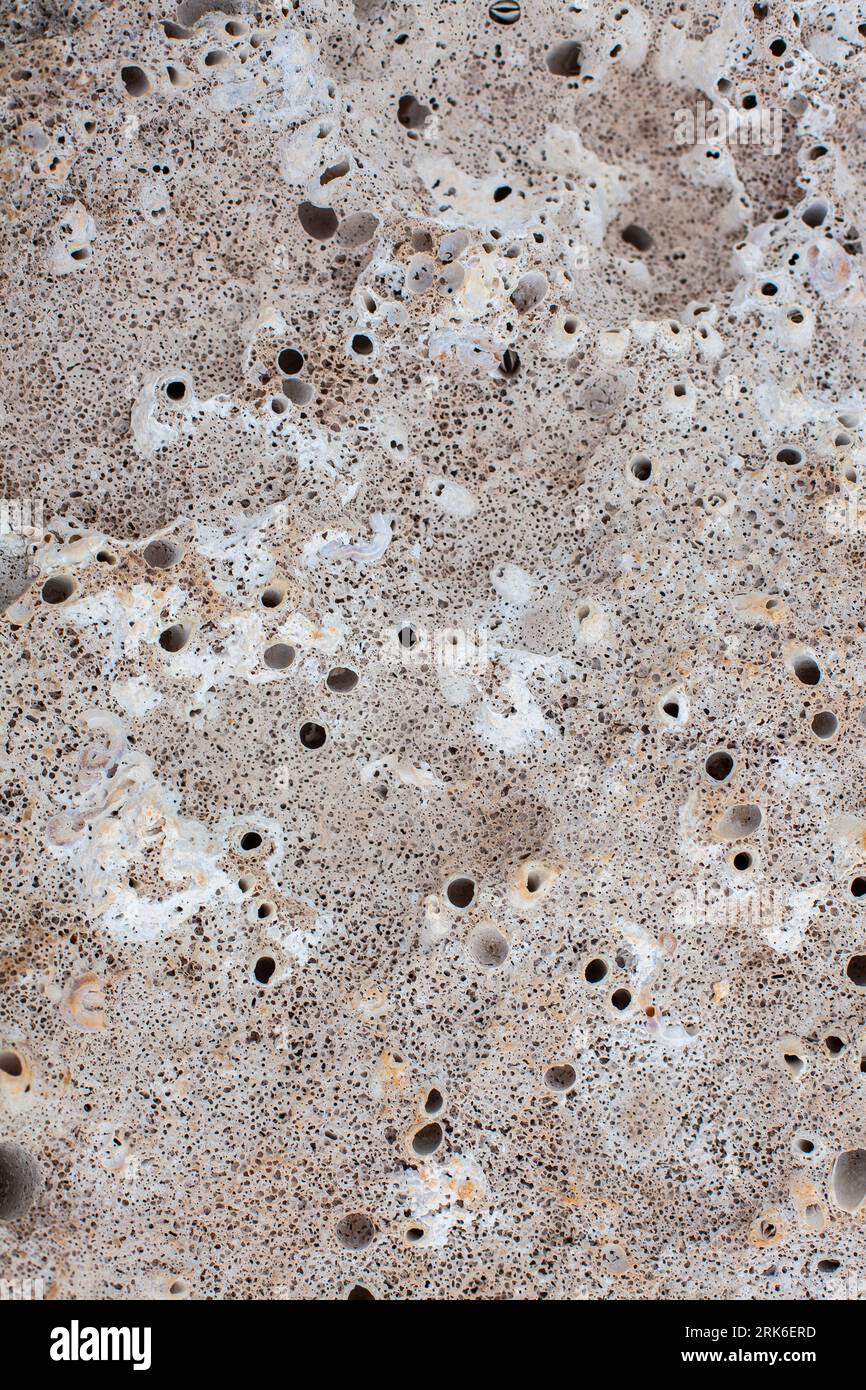 Texture of seaside stone Stock Photo - Alamy