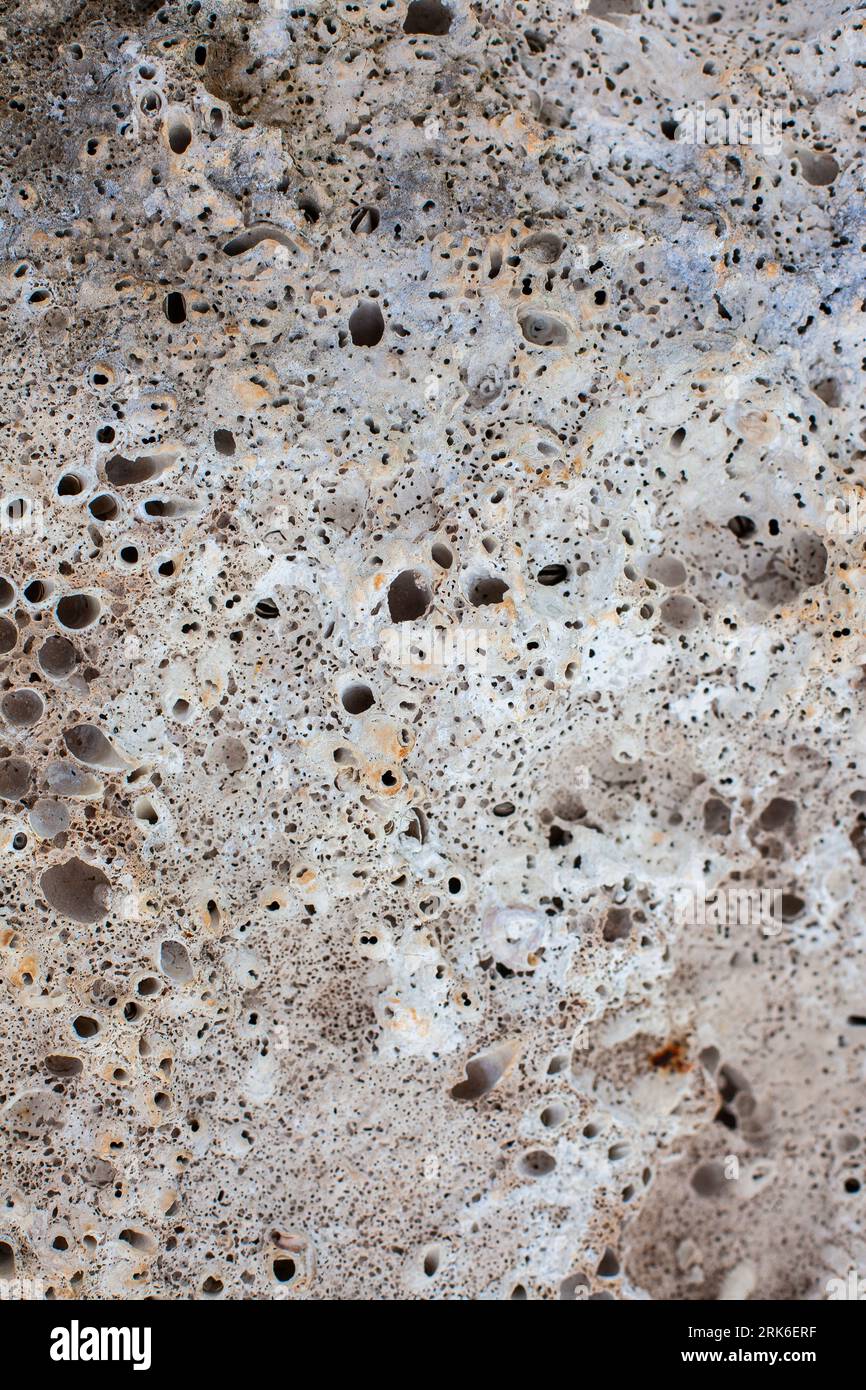 Texture of seaside stone Stock Photo - Alamy