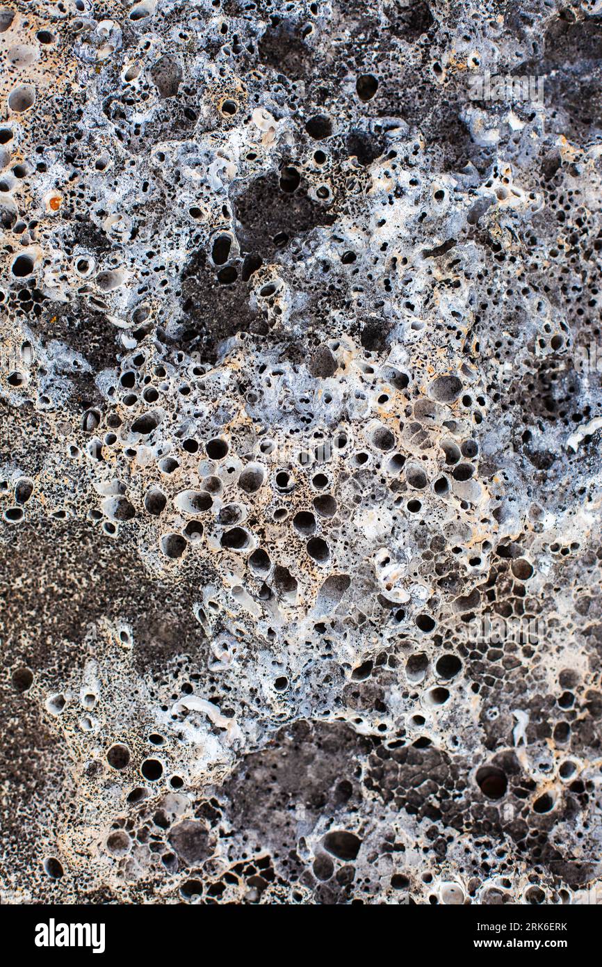 Texture of seaside stone Stock Photo - Alamy