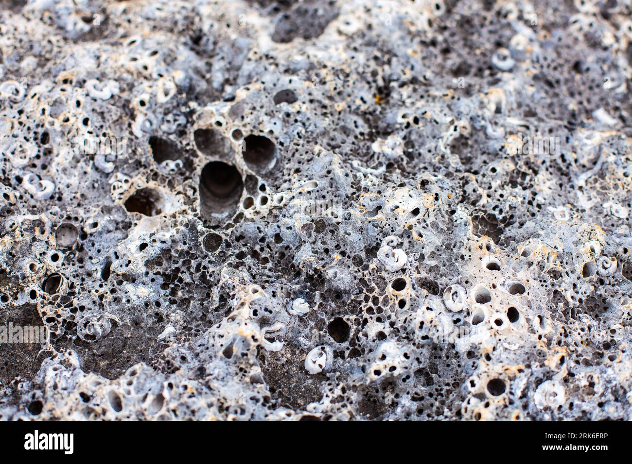 Texture of seaside stone Stock Photo - Alamy