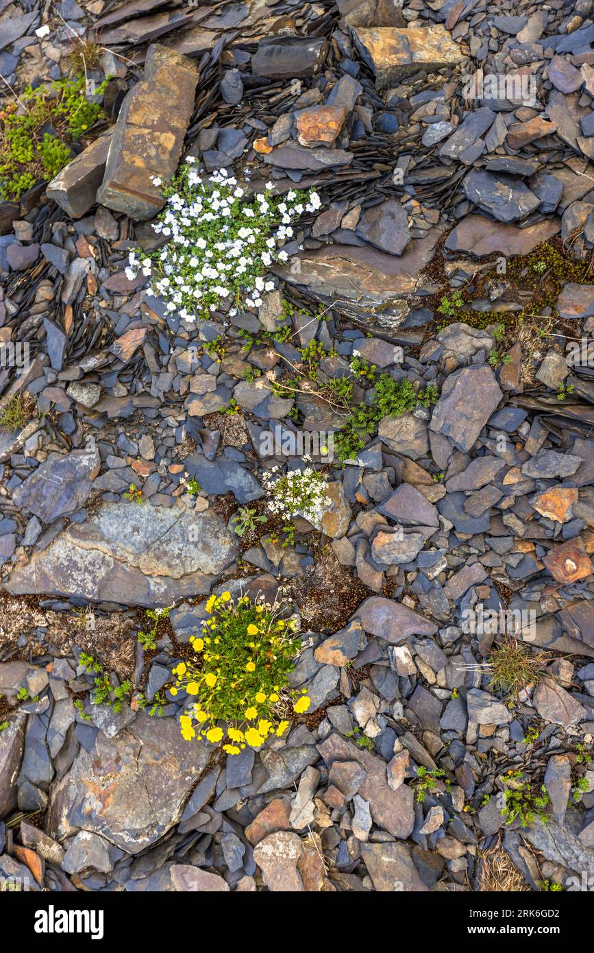 Dusheti, Georgia. Hike over the Chaukhi Pass Stock Photo - Alamy