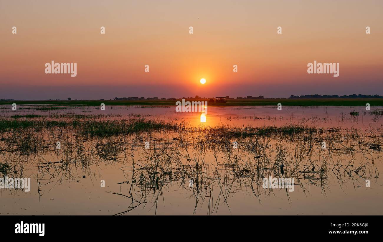 Botswana’s chobe national park hi-res stock photography and images - Alamy