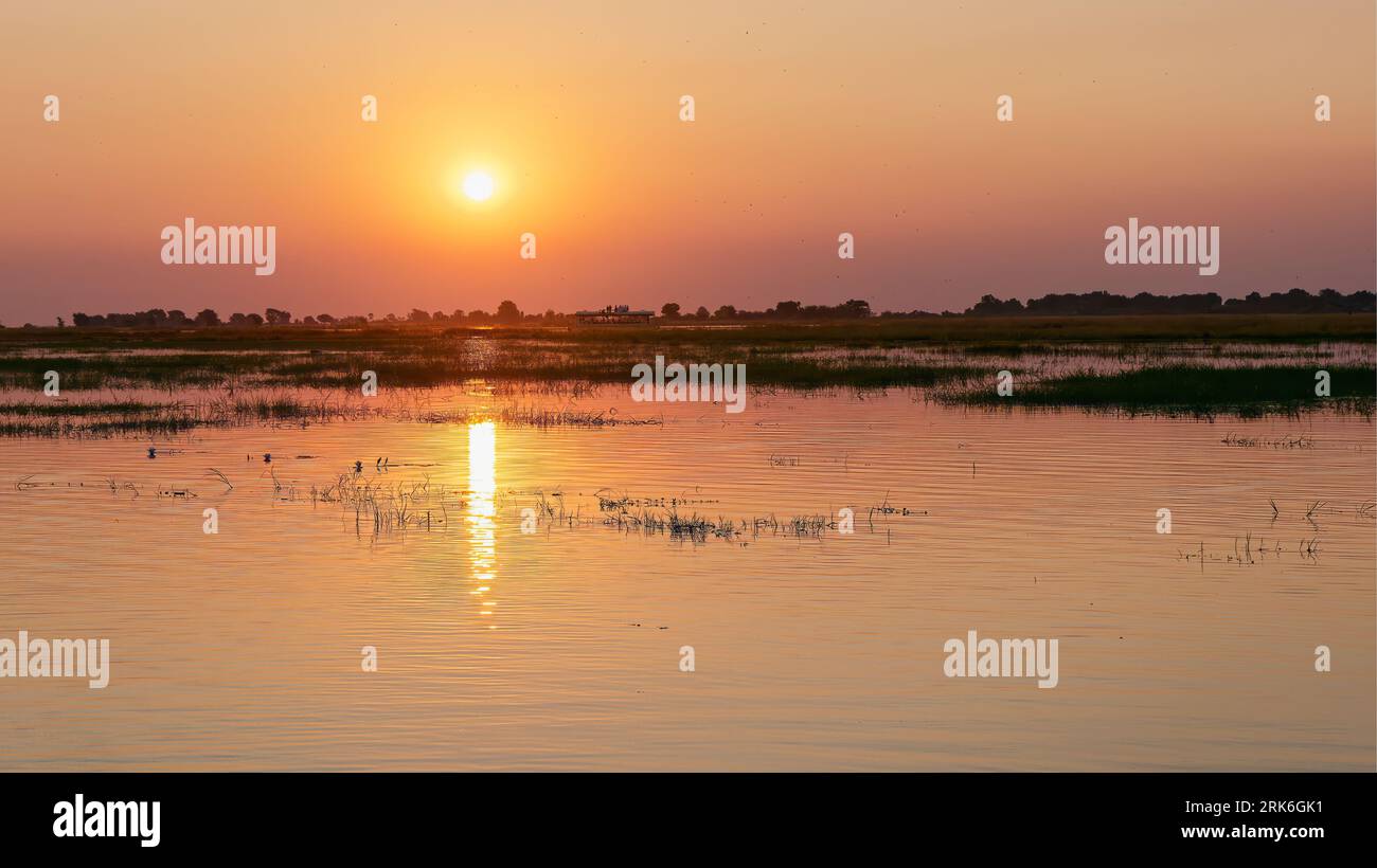 Botswana’s chobe national park hi-res stock photography and images - Alamy