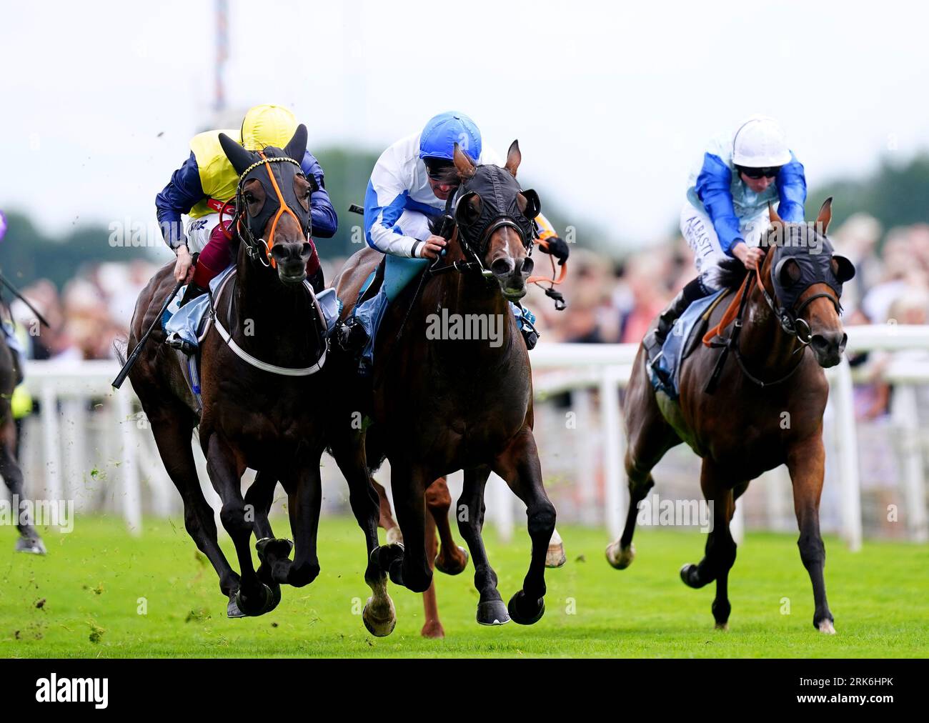 Ropey guest racecourse hi-res stock photography and images - Alamy