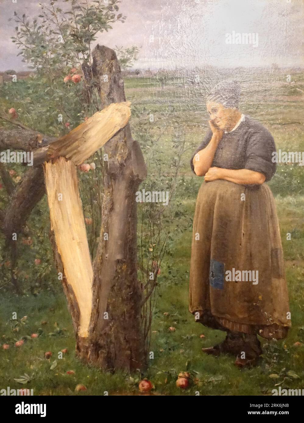 Cloven Apple Tree 1883 by José Júlio de Sousa Pinto Stock Photo - Alamy