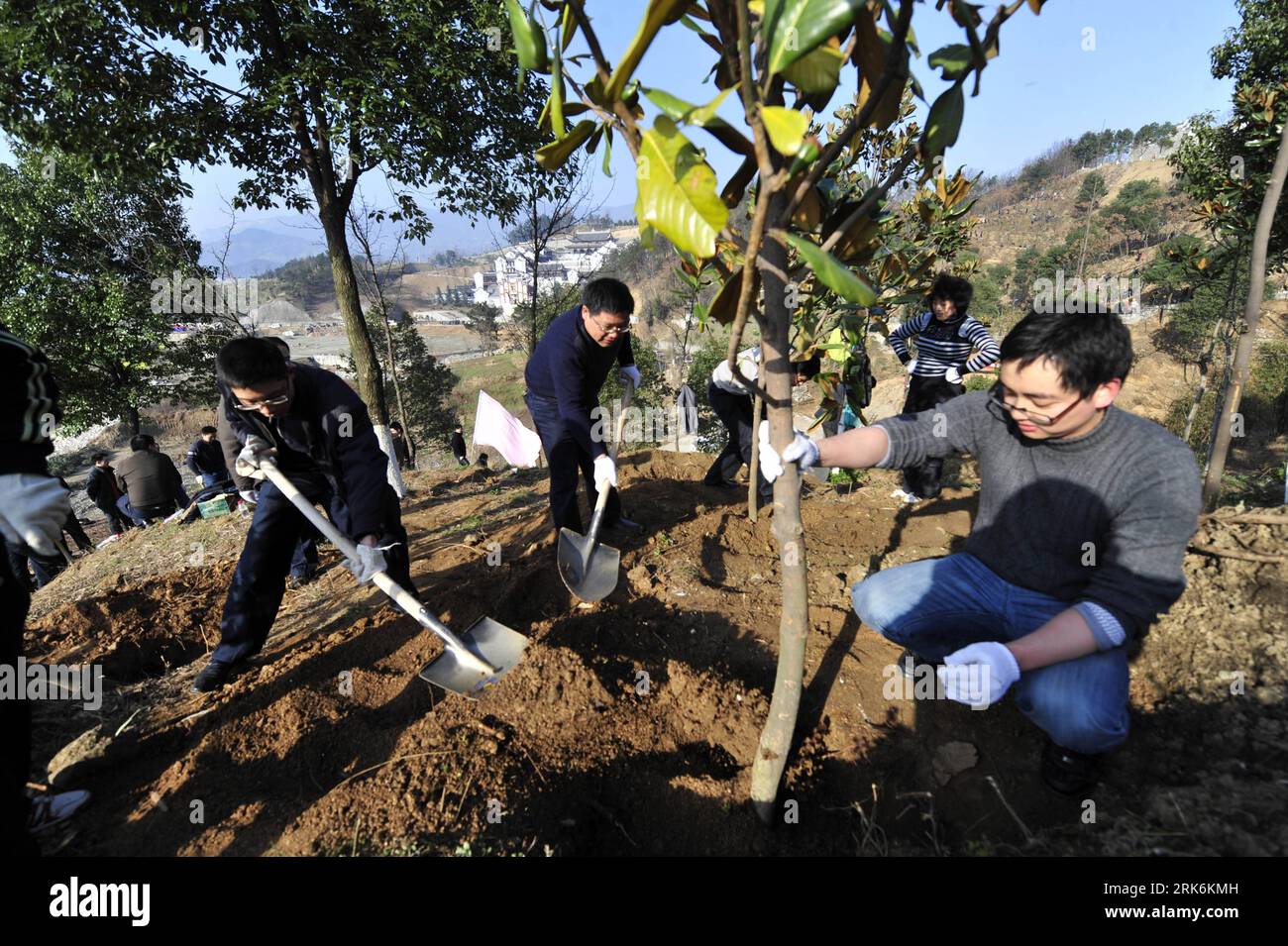 Tree gorges dam hi-res stock photography and images - Alamy