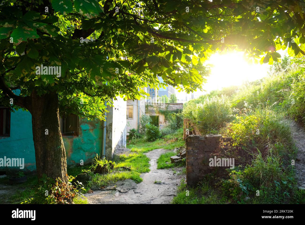 Decaying structure surrounded hi-res stock photography and images - Alamy