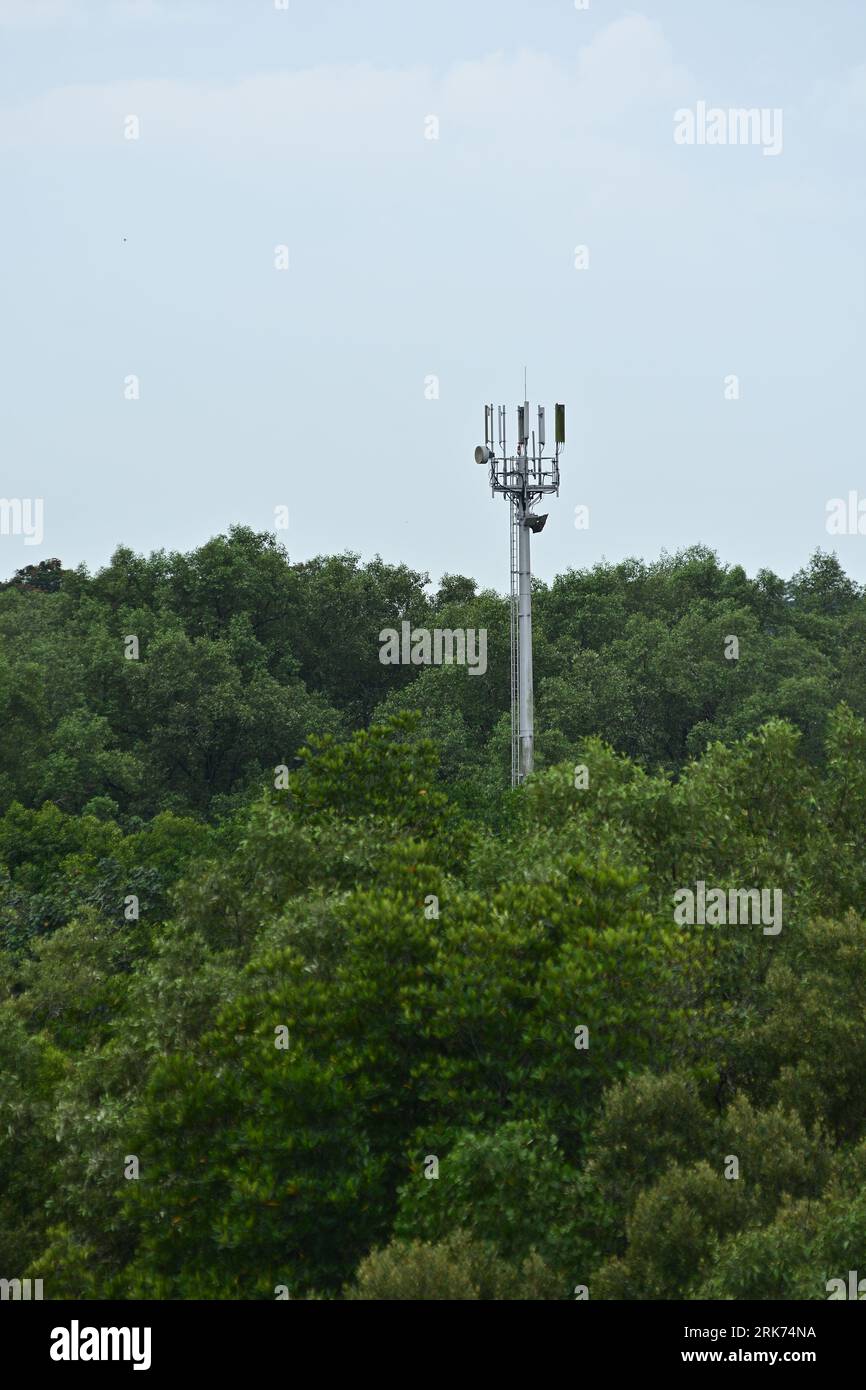 A cell tower standing tall amidst a green landscape of trees in the ...