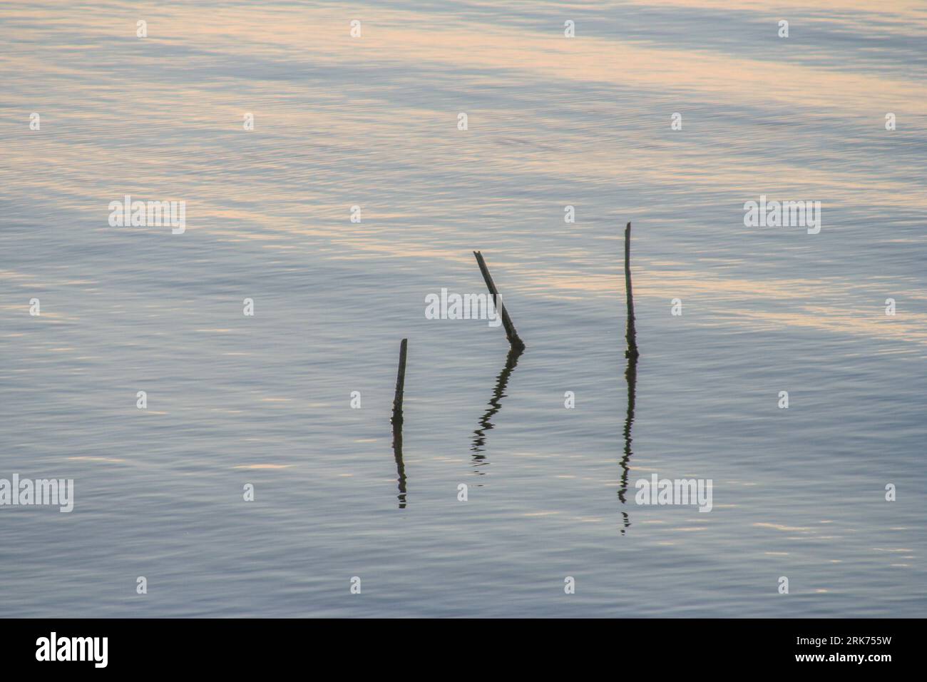 Protruding thin hi-res stock photography and images - Alamy