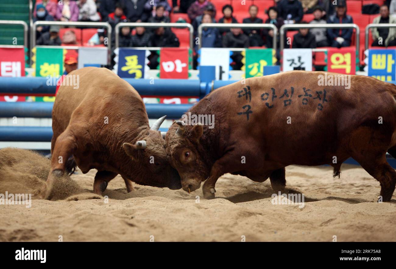 Nxl symbol hi-res stock photography and images - Alamy