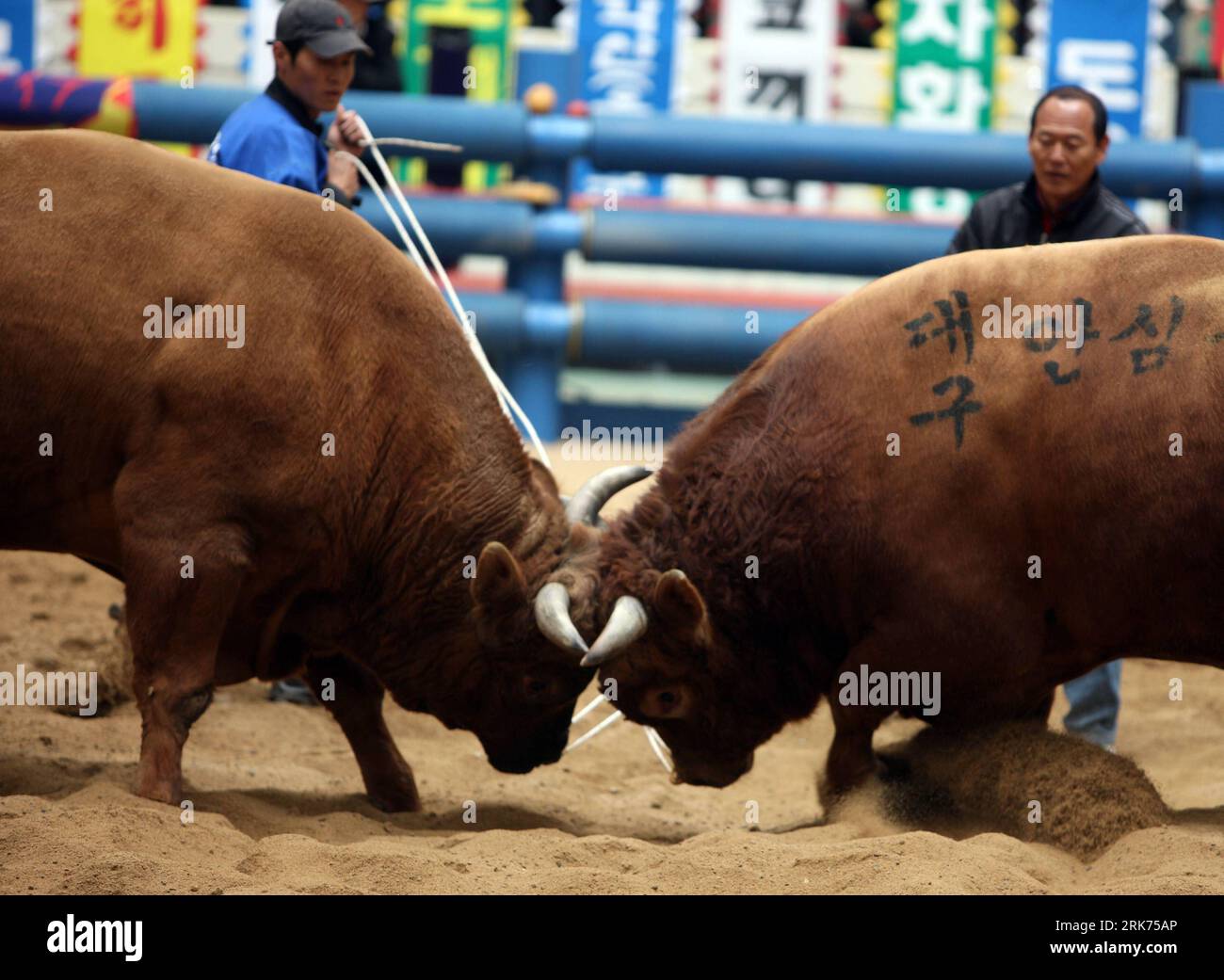 Nxl symbol hi-res stock photography and images - Alamy