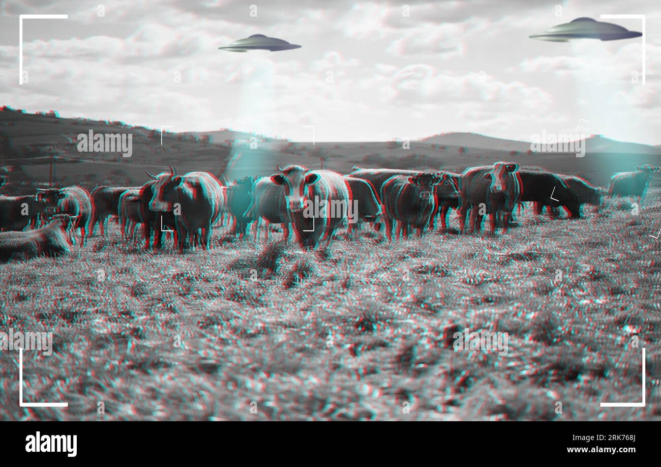 Recording of alien, spaceship and UFO with cow in field for fantasy ...