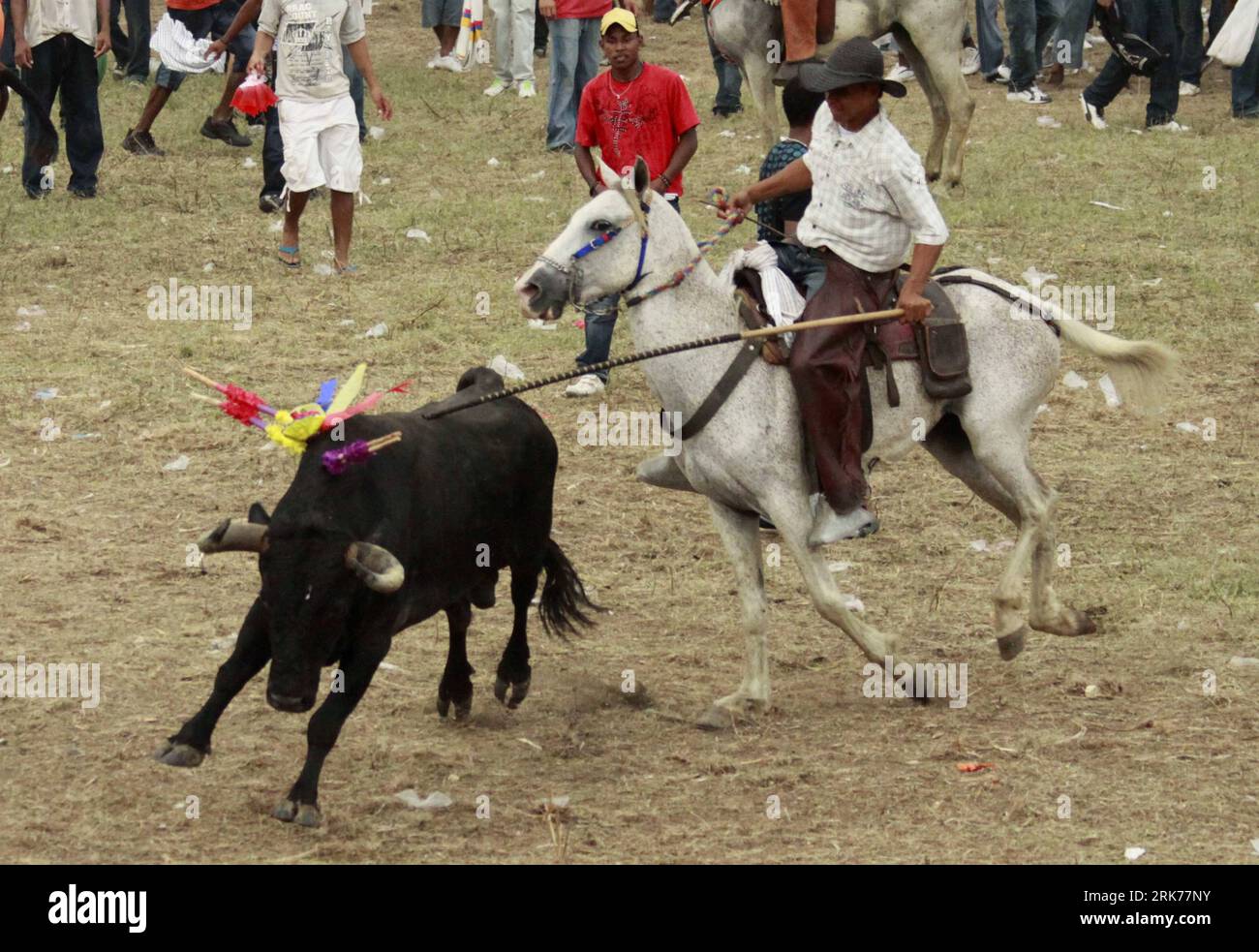 Stierkampf reiter hi-res stock photography and images - Alamy