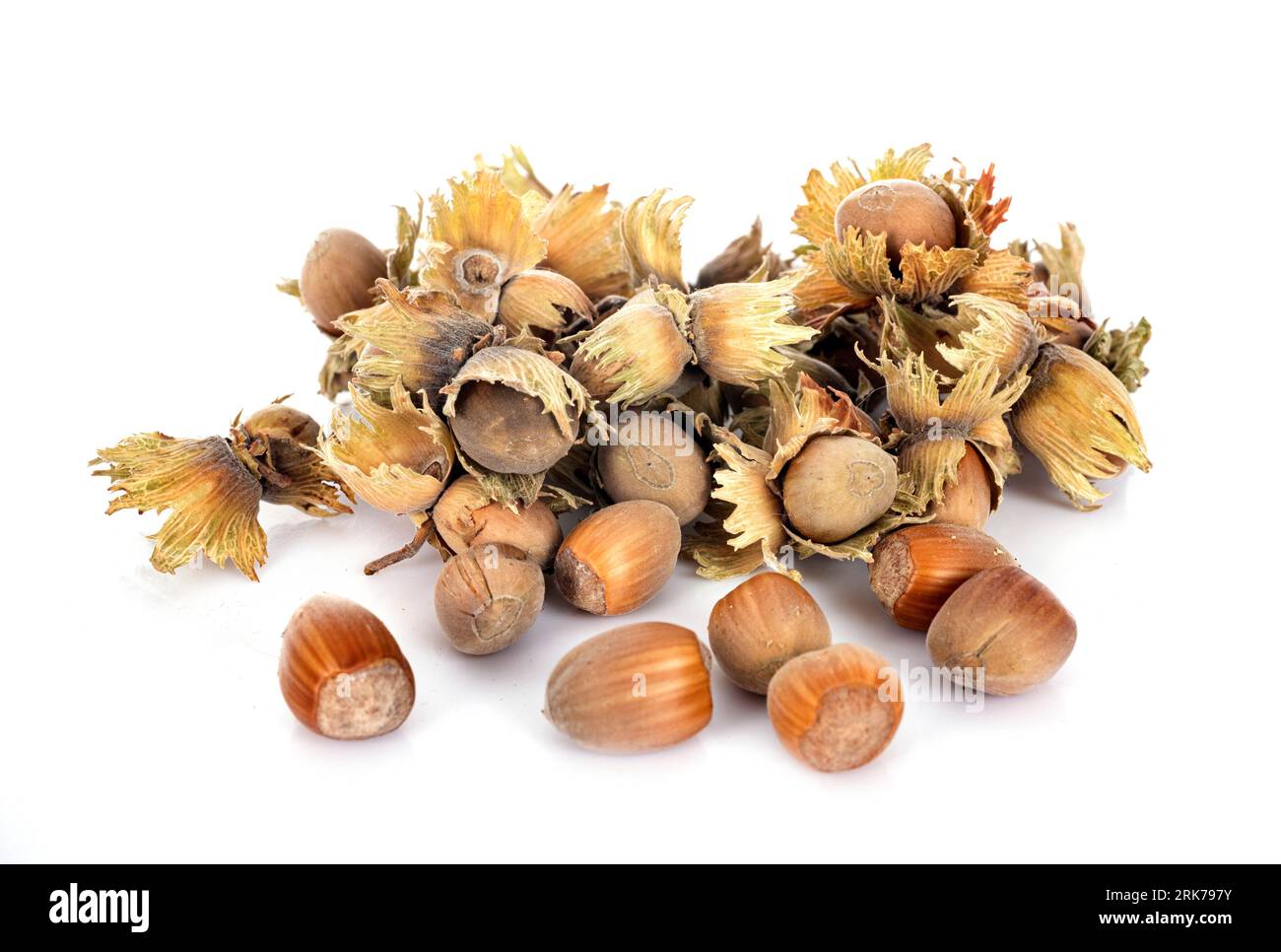 fresh hazelnuts in front of white background Stock Photo - Alamy