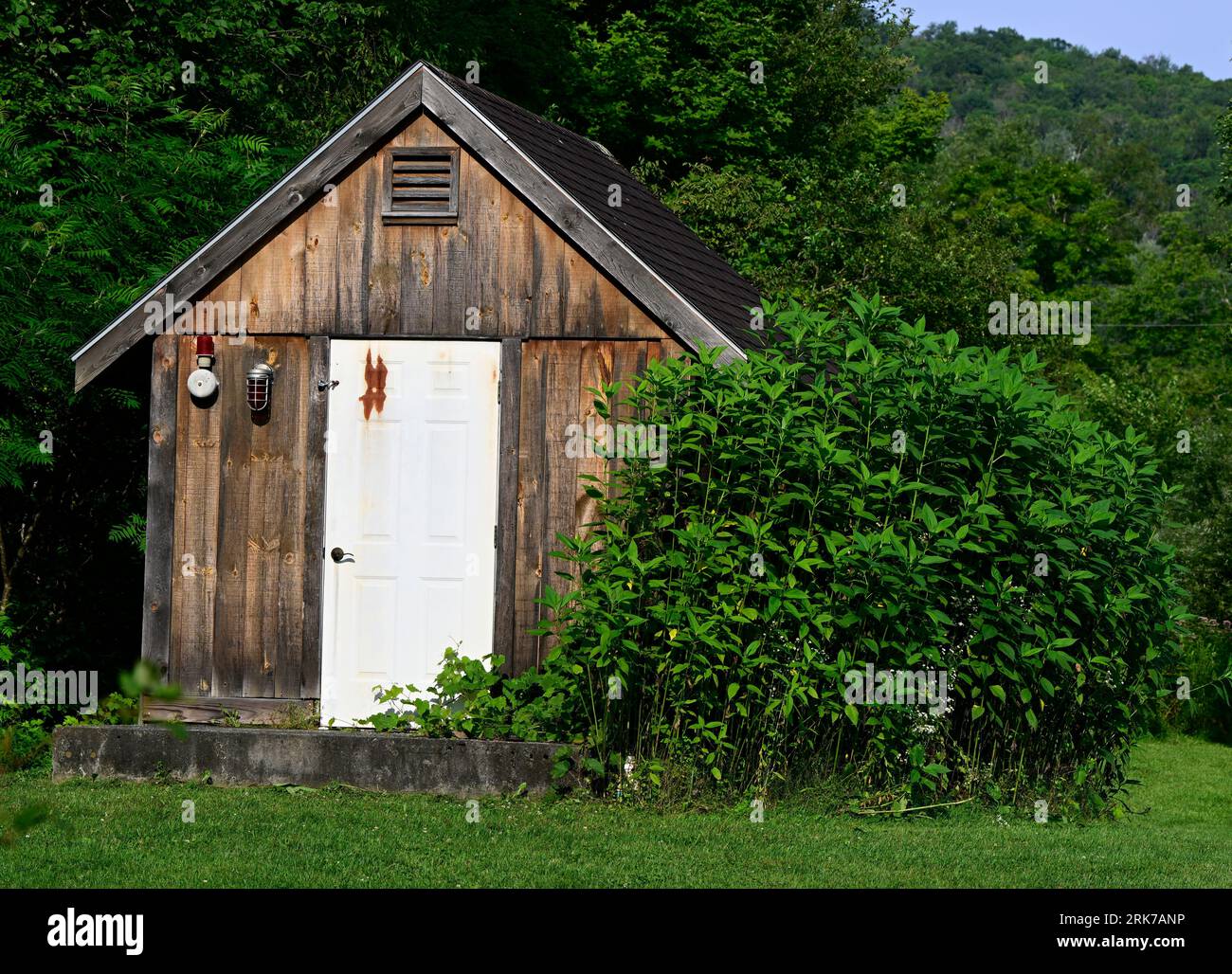 A wooden shed with a slanted roof is situated in a grassy yard ...