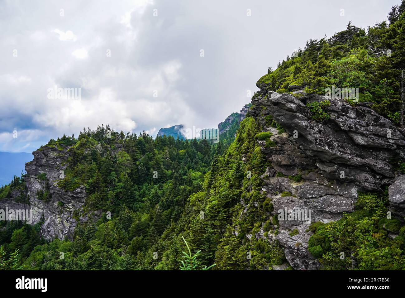 A majestic cliff featuring lush green trees against a brilliant blue ...