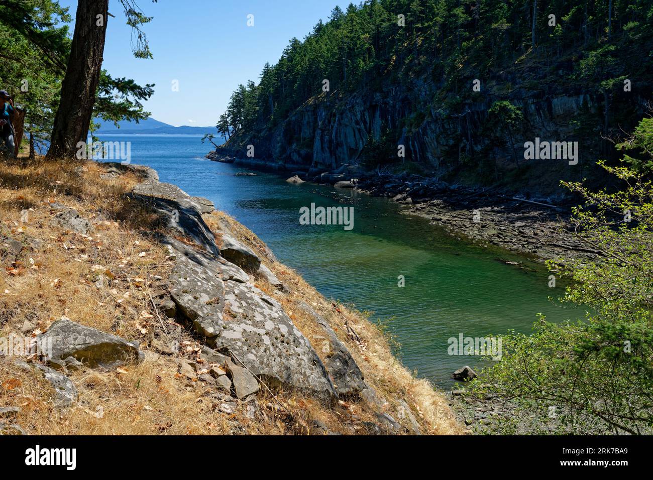 A scenic landscape of a river with lush tree-lined banks situated at ...