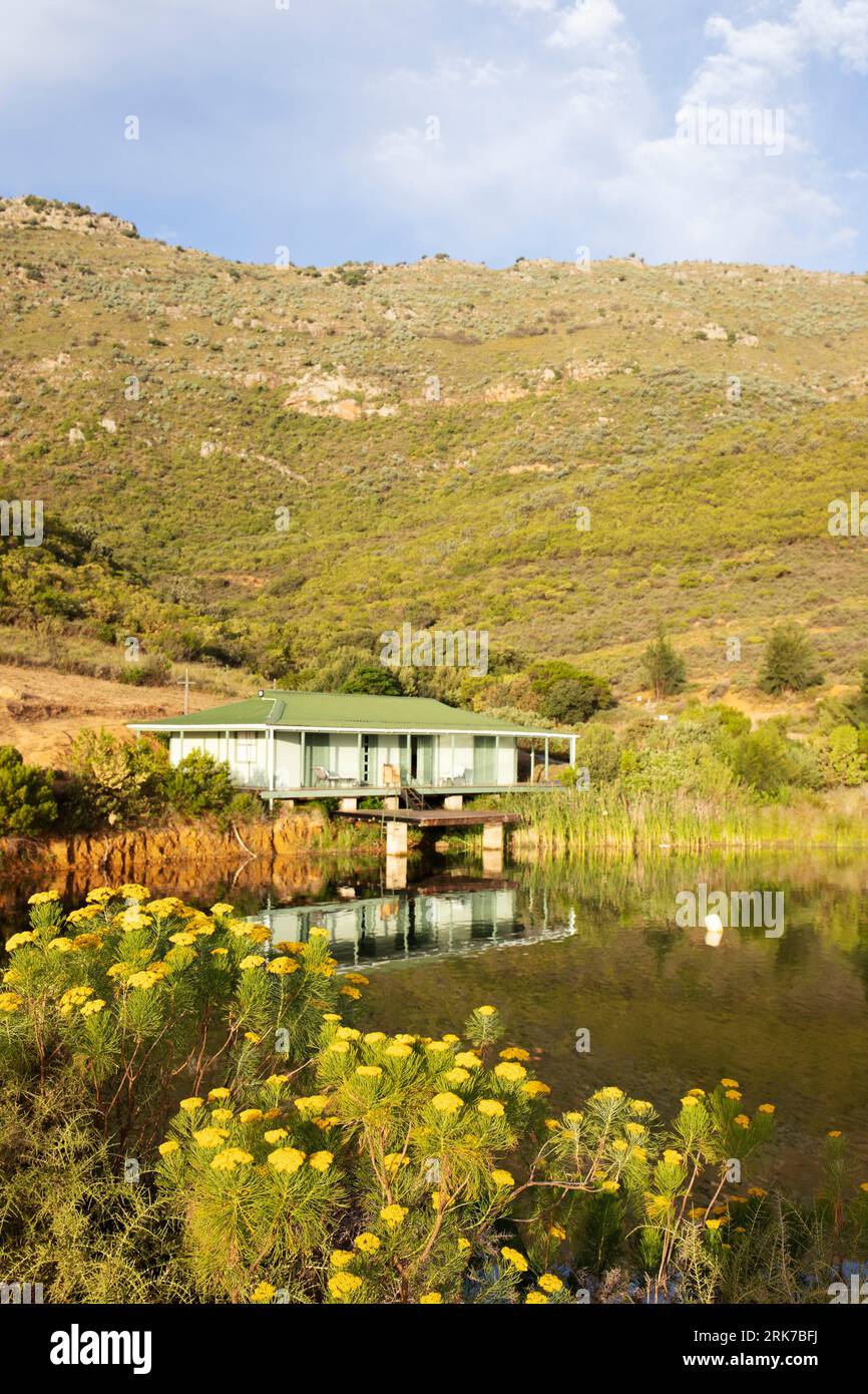 Goedgedacht Farm, Riebeek Kasteel, Western Cape, South Africa Stock ...