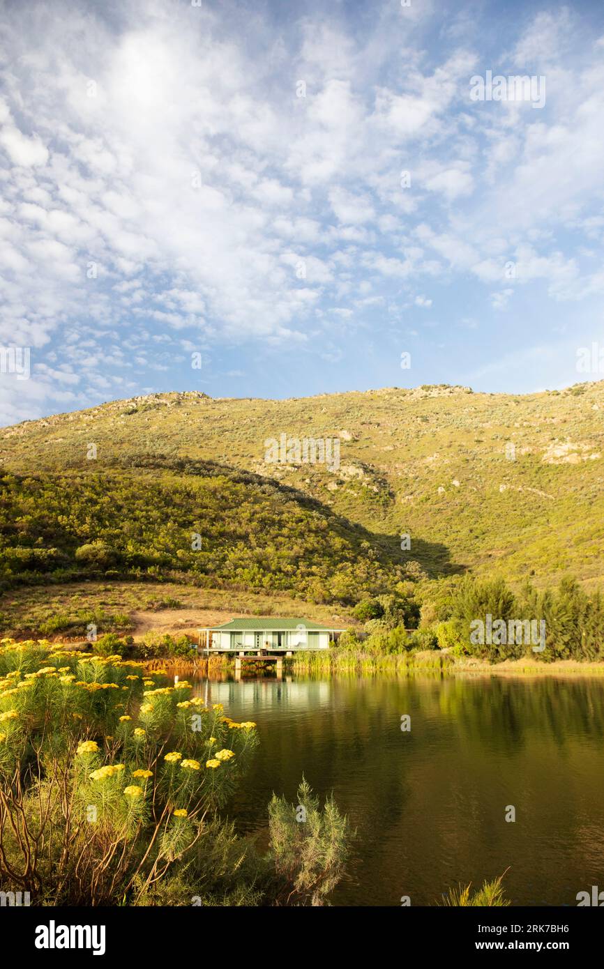 Goedgedacht Farm, Riebeek Kasteel, Western Cape, South Africa Stock ...