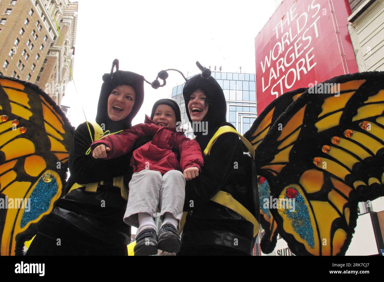 Butterfly wu hi-res stock photography and images - Alamy