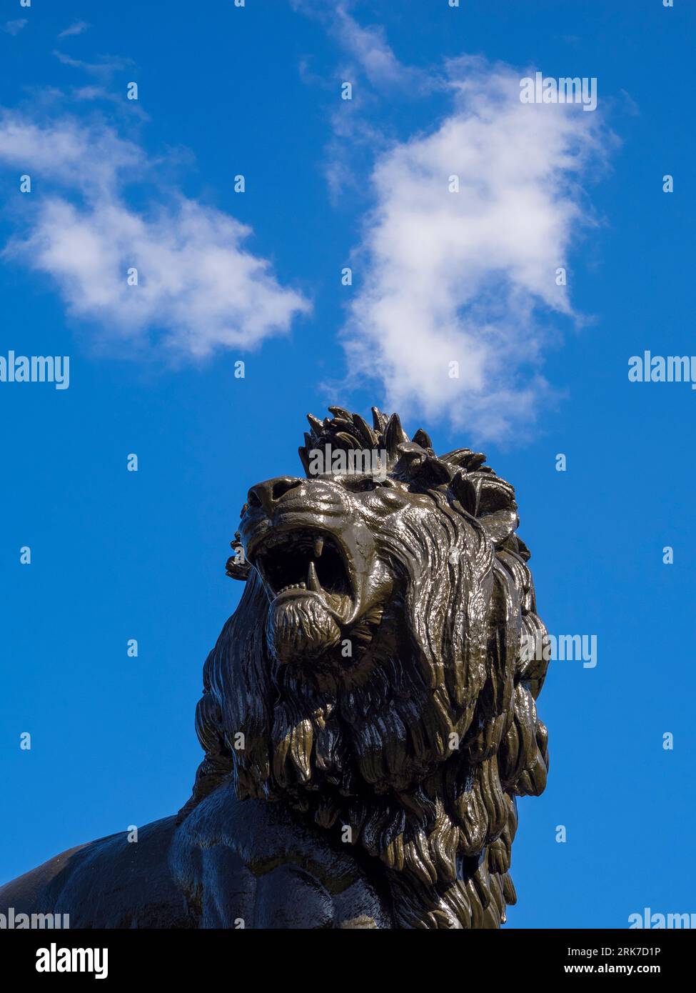 Maiwand Lion, Abbey Quarter, Reading, Berkshire, England, UK, GB Stock ...