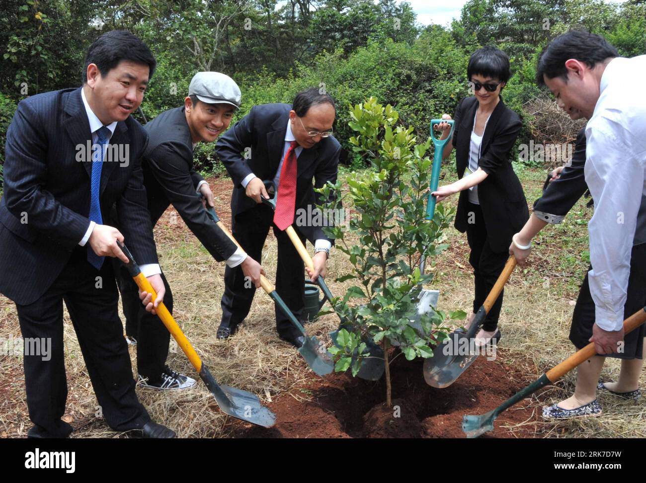 Africa china tree planting hi-res stock photography and images - Alamy