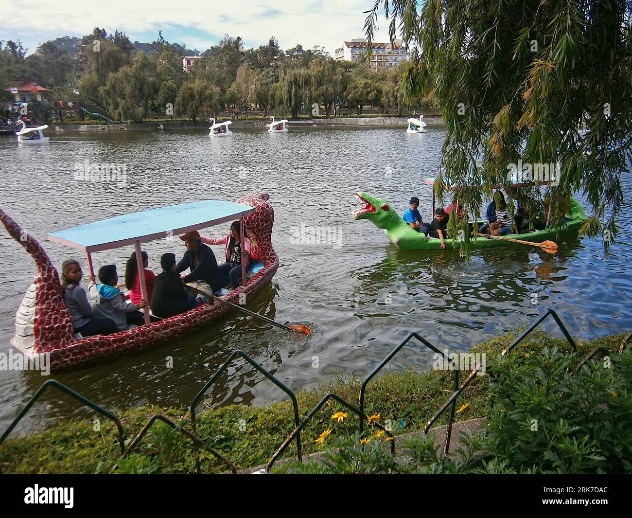 People riding in rowing boats on Burnham Park Lake Stock Photo - Alamy