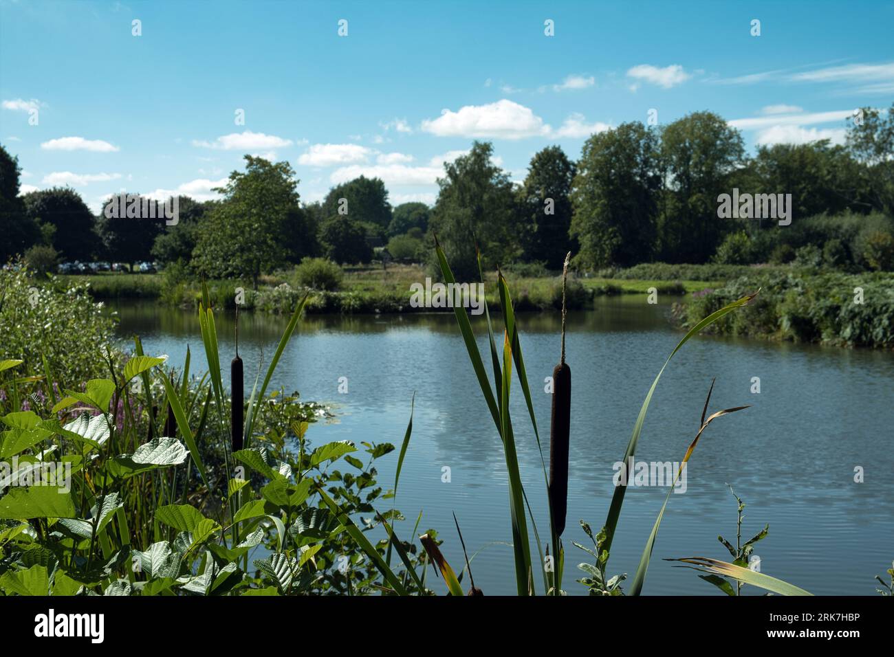 Lake at Penshurst Place Manor House in Penshurst, Kent in August Stock ...