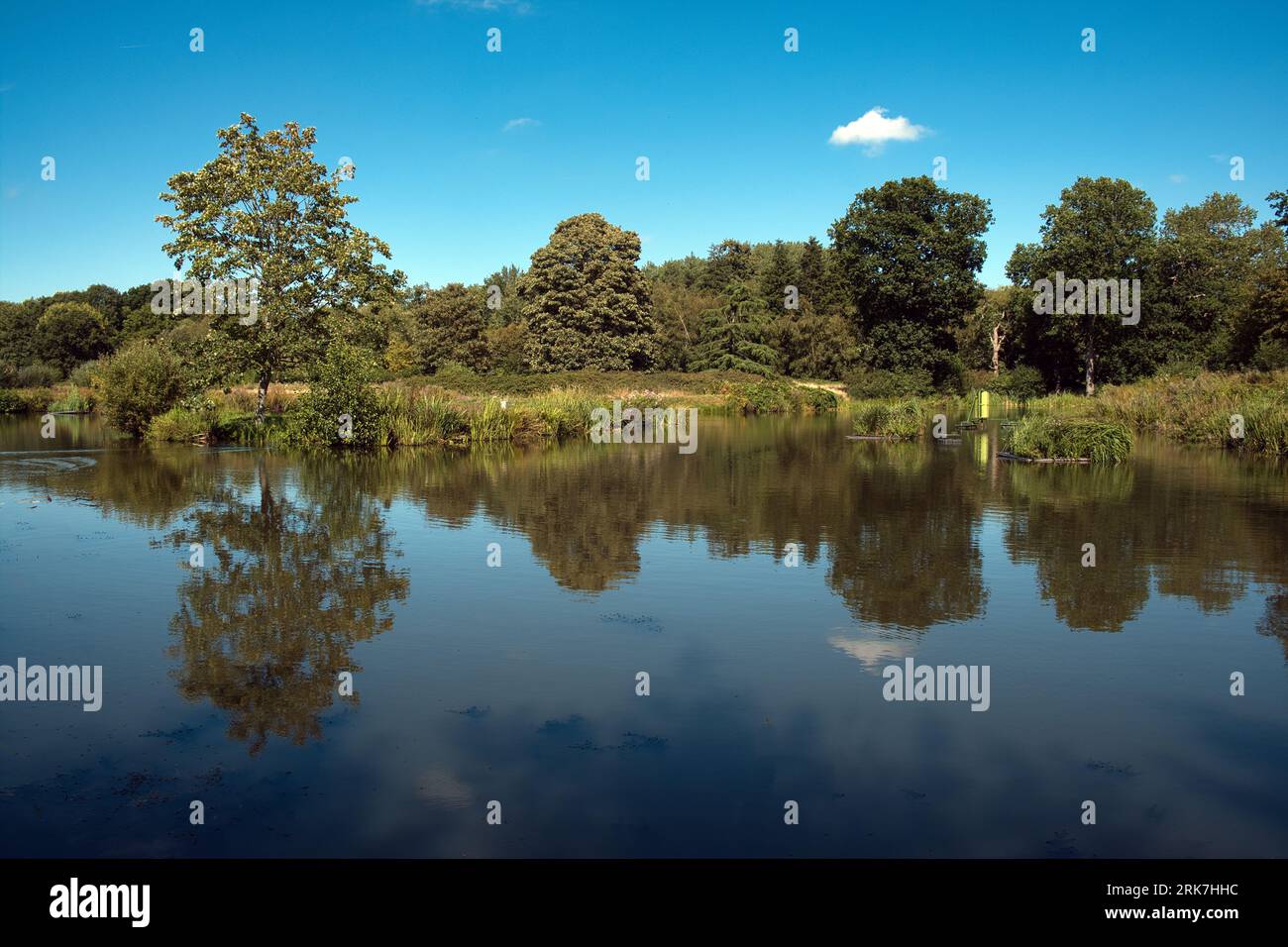 Lake at Penshurst Place Manor House in Penshurst, Kent in August Stock ...