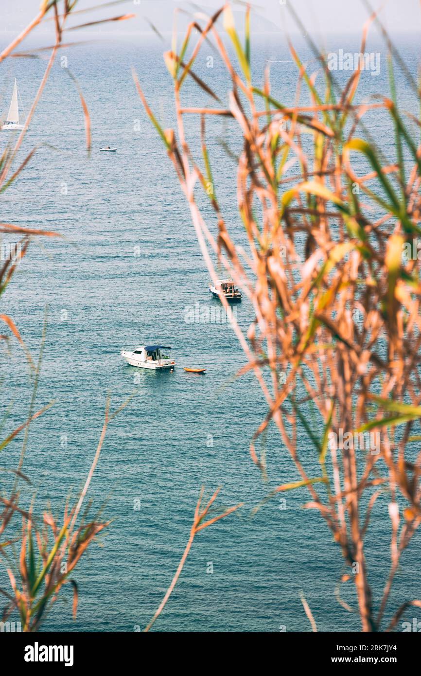 Two boats are peacefully sailing in the ocean with lush green ...