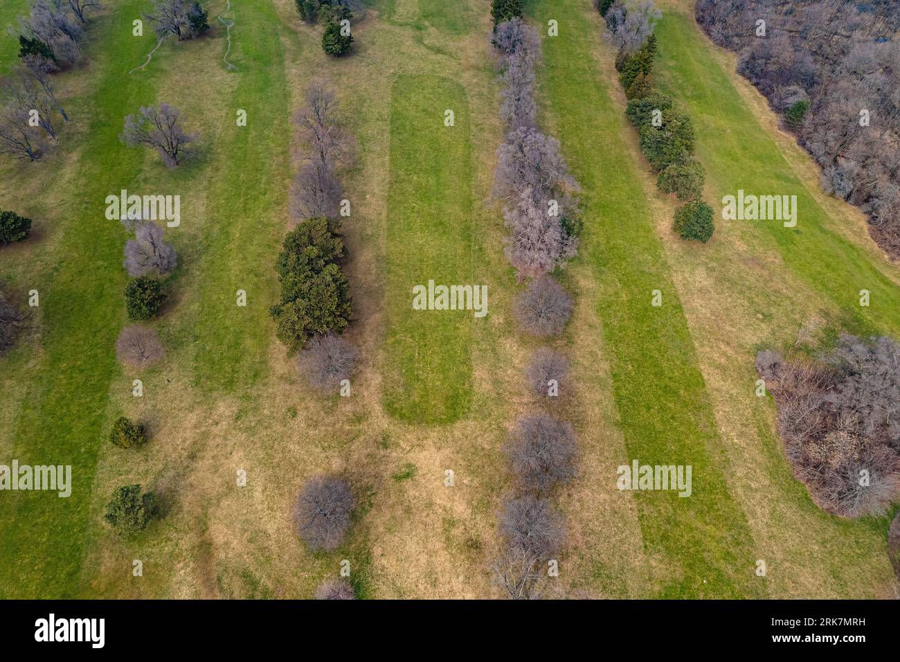 An aerial view of a grassy field with shrubs and lush green grass Stock ...