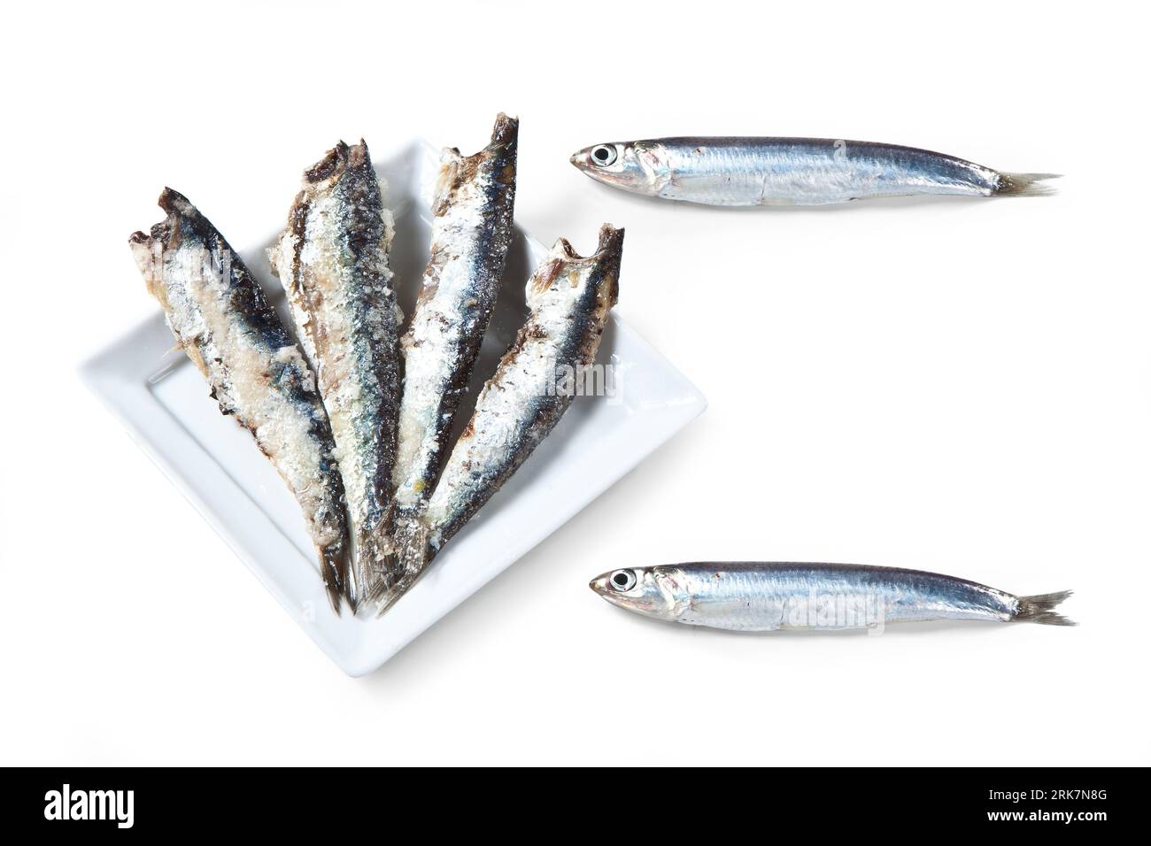 Anchovy fish illustration hi-res stock photography and images - Alamy