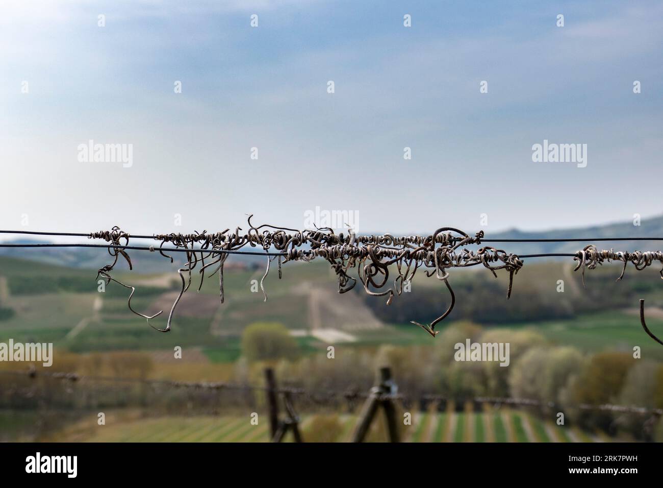 A barbed wire fence stretching across a valley Stock Photo - Alamy