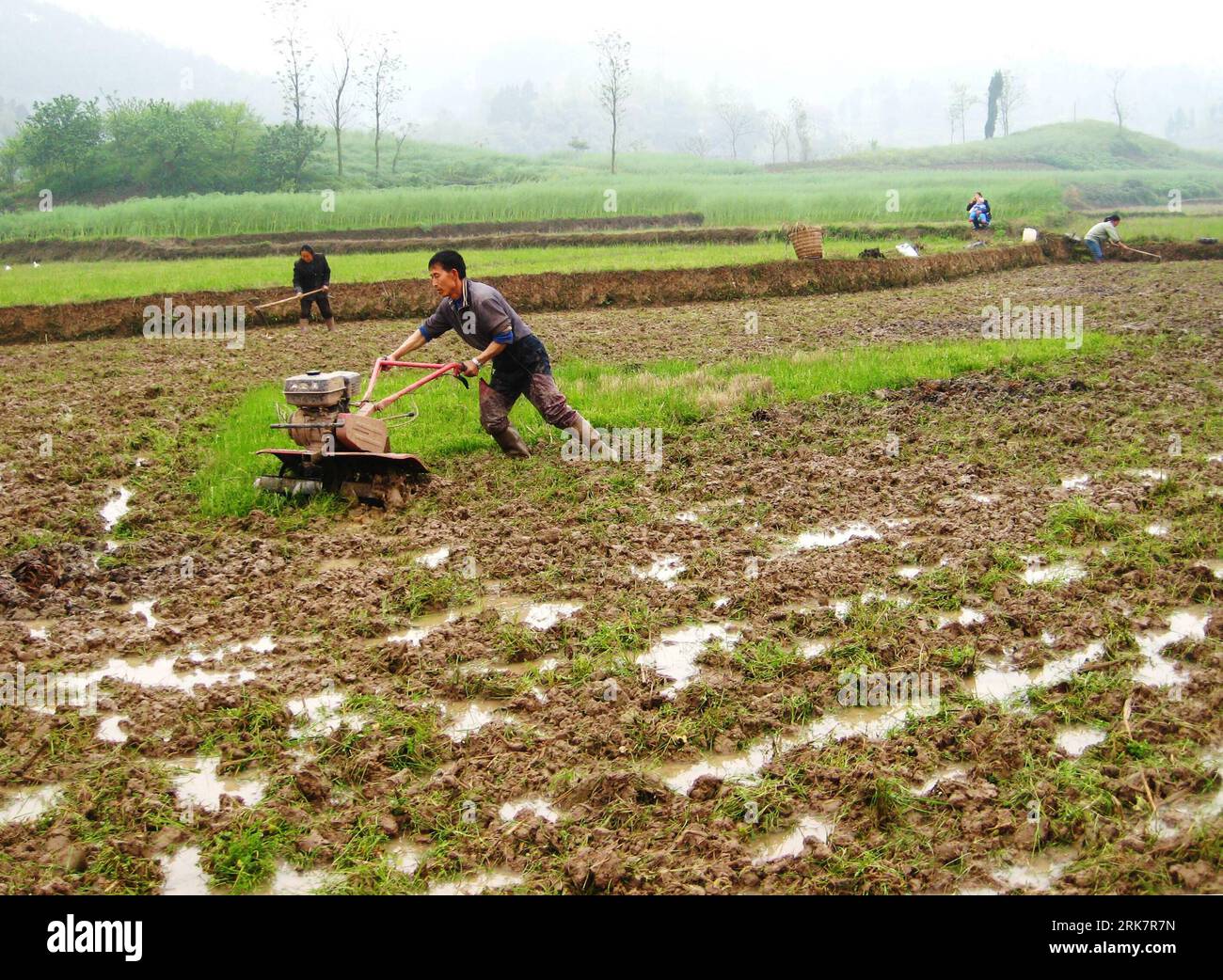 Binlang hi-res stock photography and images - Alamy