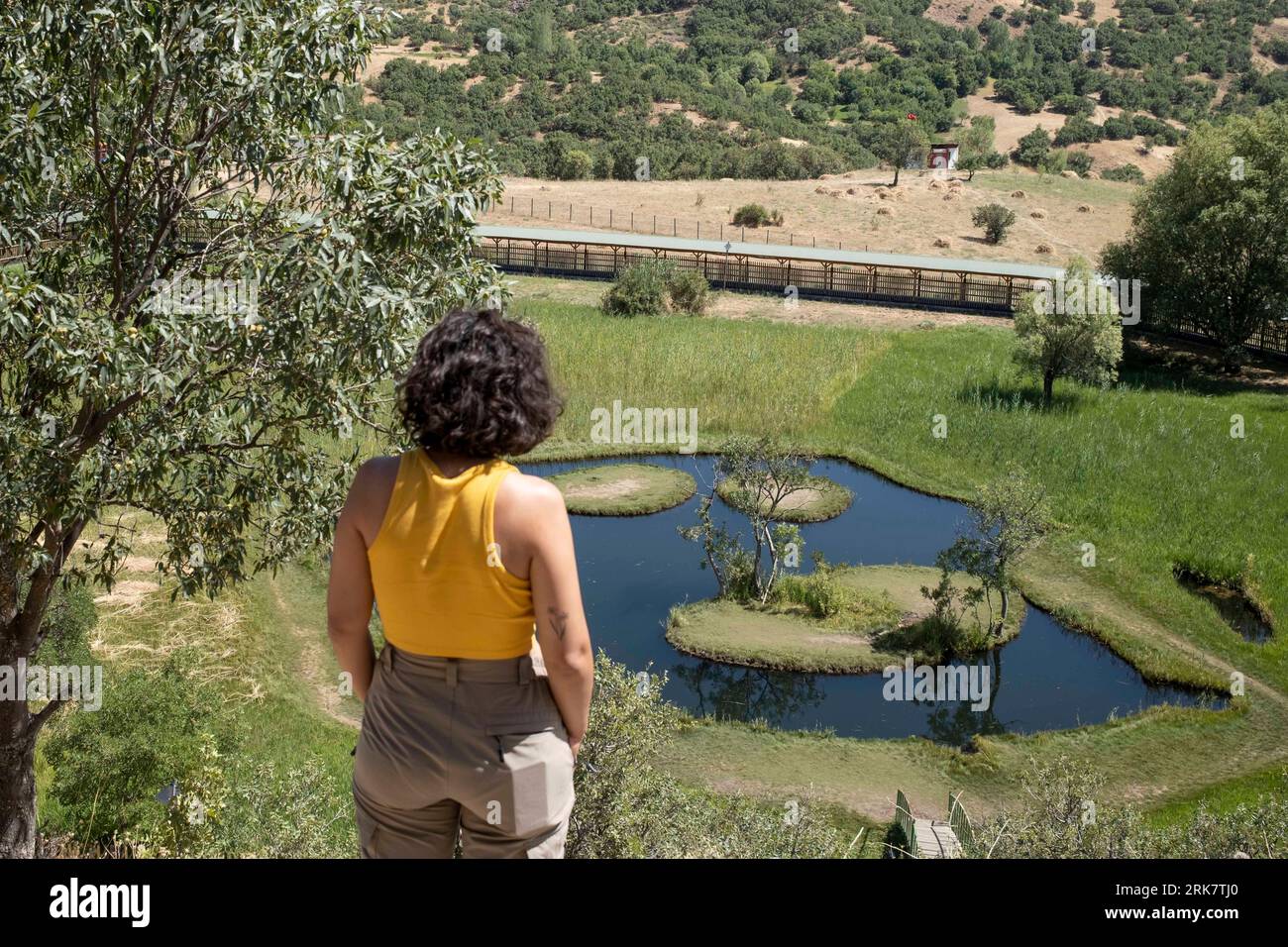 Local wind direction hi-res stock photography and images - Alamy