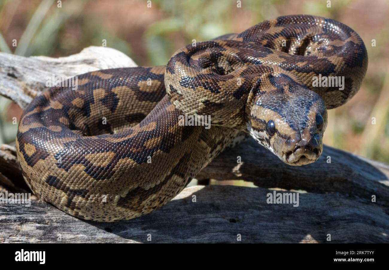 Markings highlighted hi-res stock photography and images - Alamy