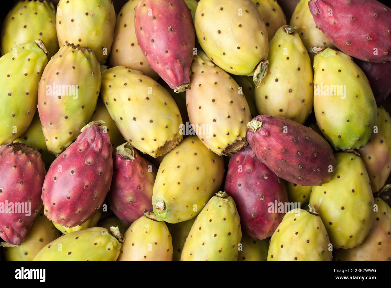 Indian figs hi-res stock photography and images - Alamy