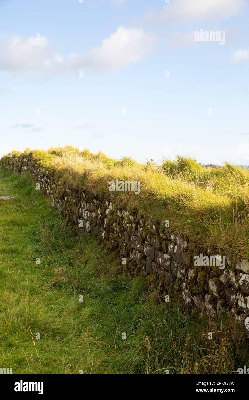 A rural landscape featuring an aged stone wall covered with greenery ...