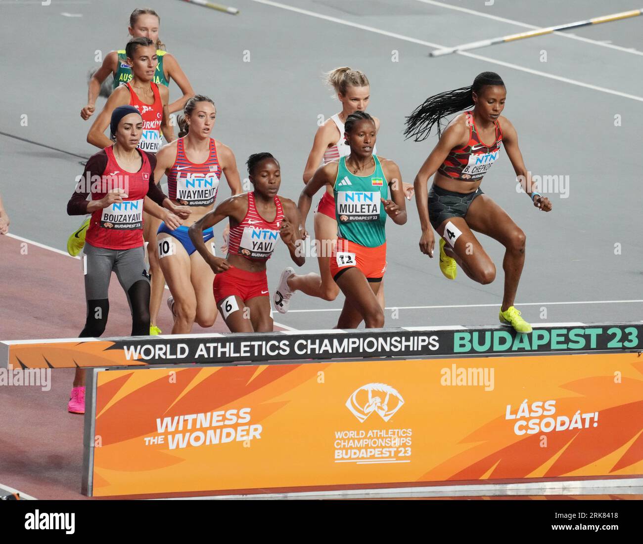 Courtney wayment budapest 2023 hi-res stock photography and images - Alamy Courtney wayment budapest 2023 hi-res stock photography and images - Alamy
