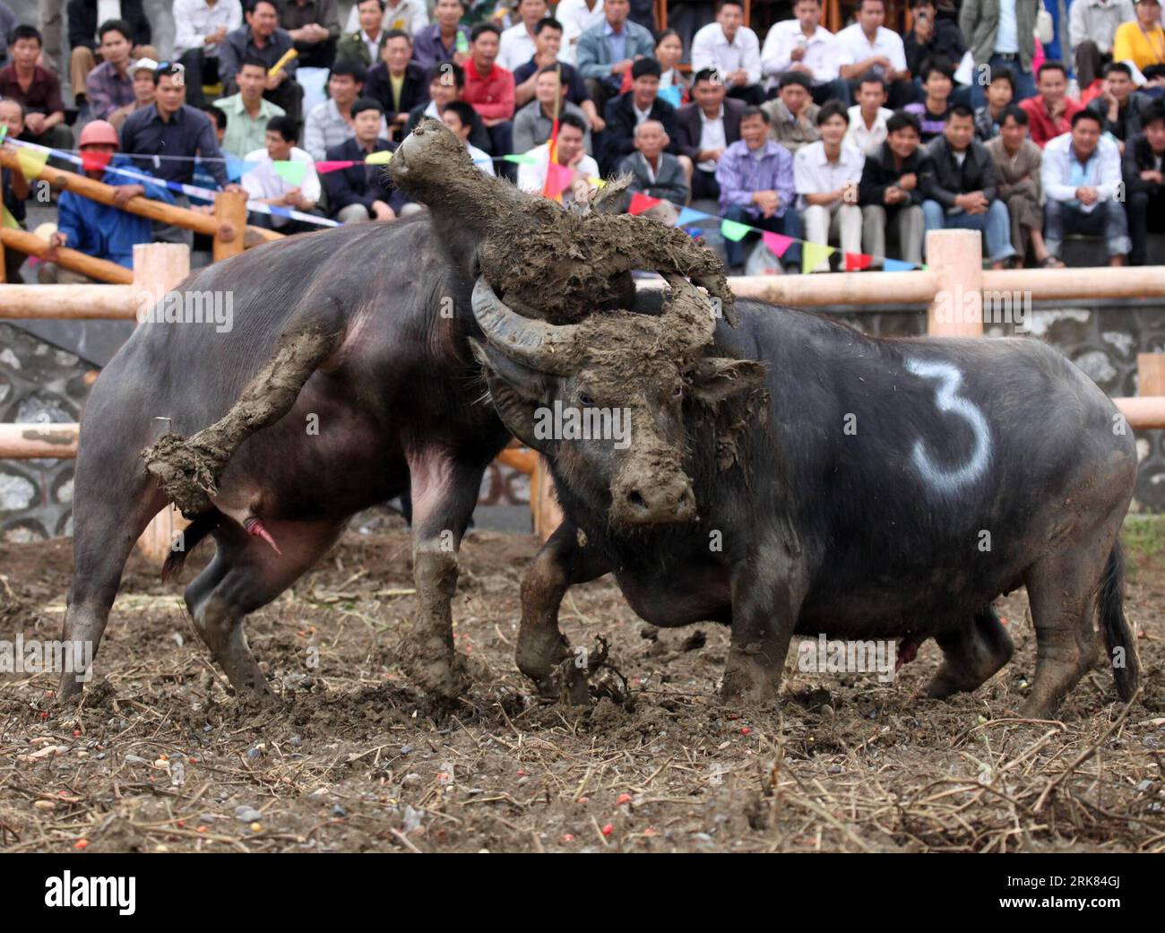 Grapple y hi-res stock photography and images - Alamy