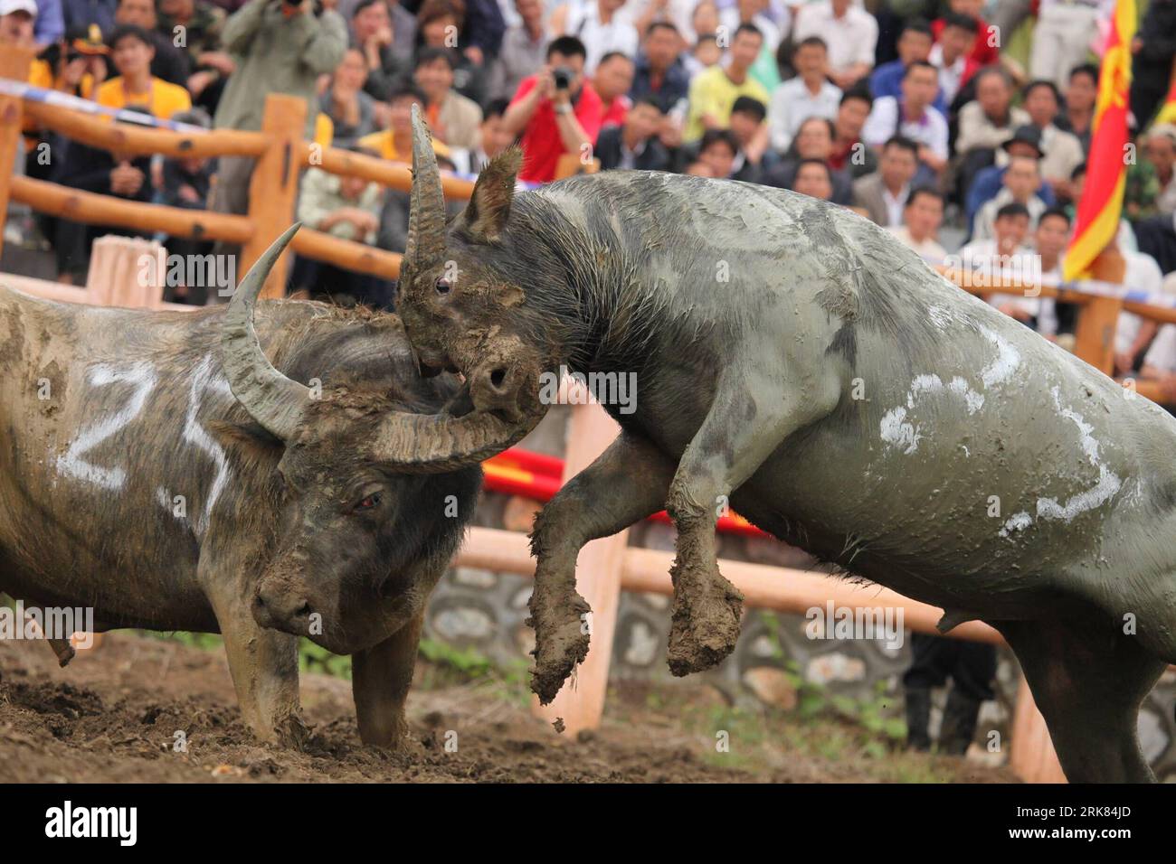 Grapple y hi-res stock photography and images - Alamy