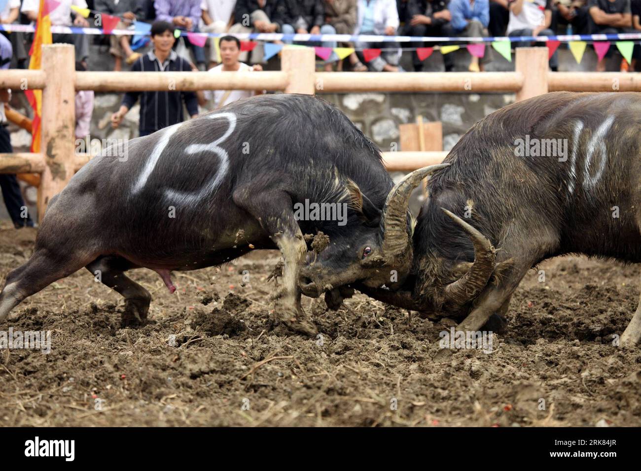 Grapple y hi-res stock photography and images - Alamy