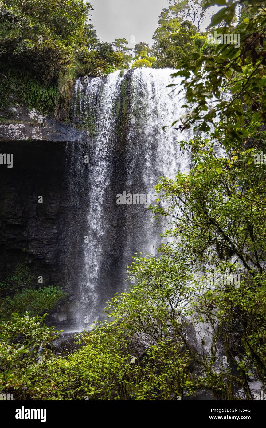 Thundering cascade on the Waterfalls Circuit, framed by dense ...