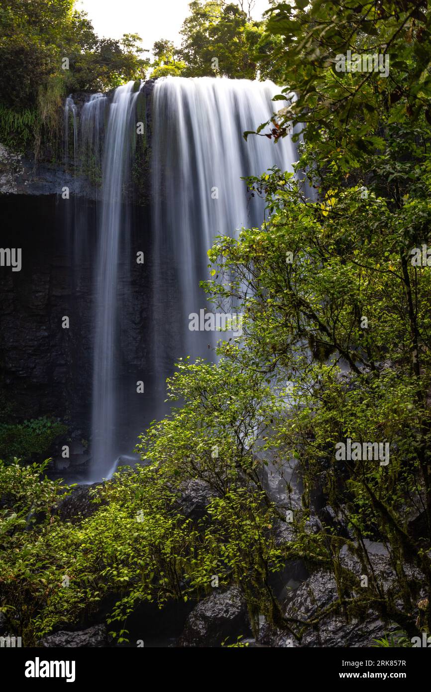 Thundering cascade on the Waterfalls Circuit, framed by dense ...